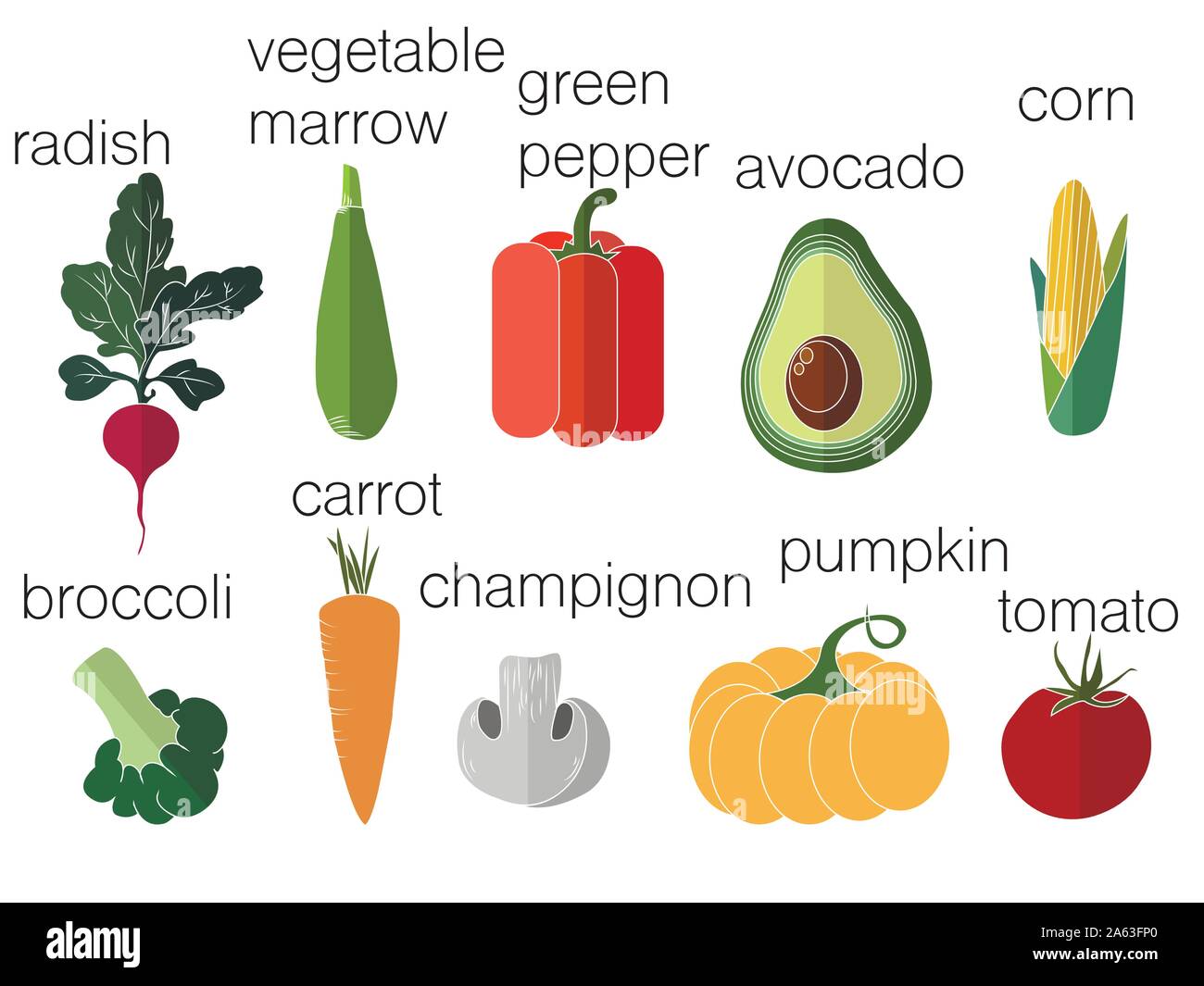Avocado,radish,marrow,pepper,corn,broccoli,carrot,champignon,pumpkin ...