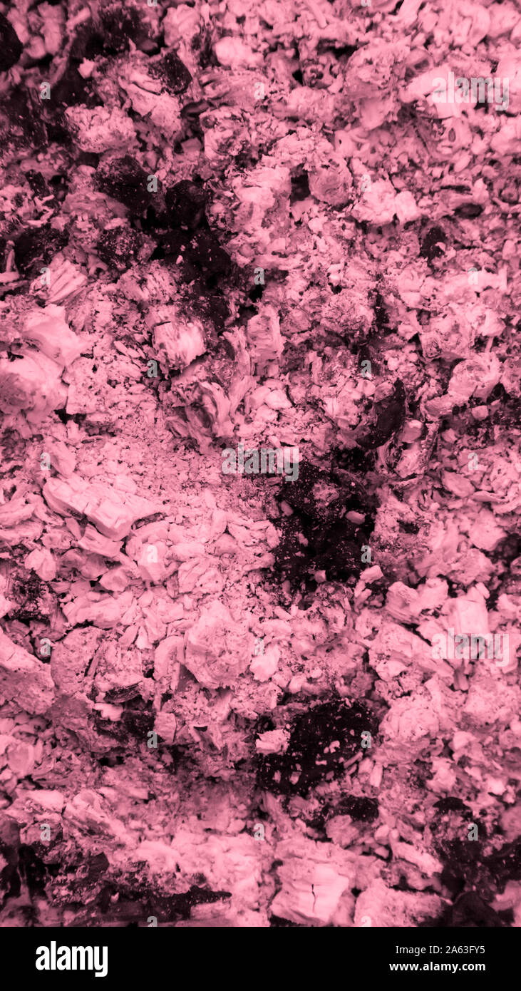 Light pink Abstract vertical Textures Ash wood background closeup Stock ...