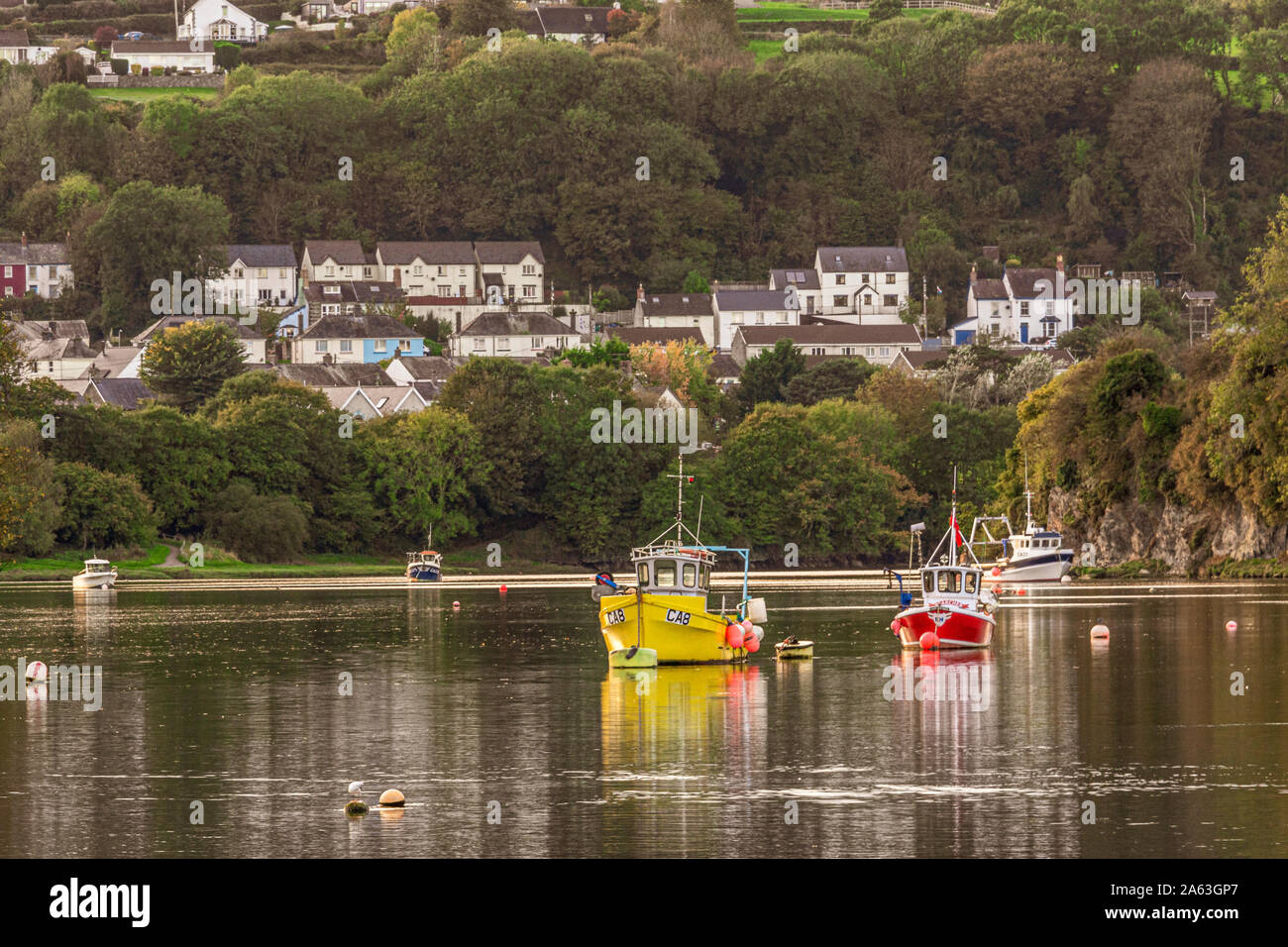 The Teifi estuary looking towards St Dogmaels Stock Photo - Alamy