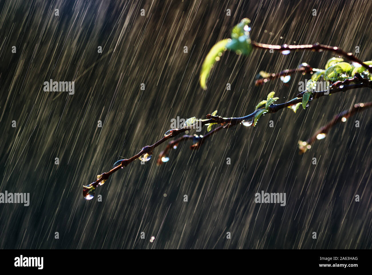 Rainy morning day hi-res stock photography and images - Alamy