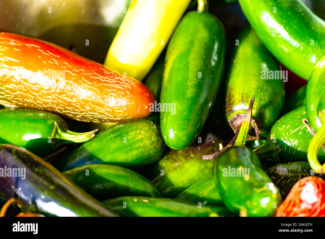 many ripe jalapeno peppers clumped together Stock Photo - Alamy
