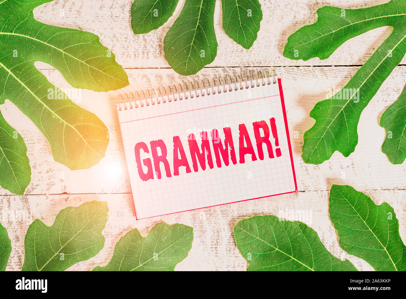 Conceptual hand writing showing Grammar. Concept meaning whole system ...