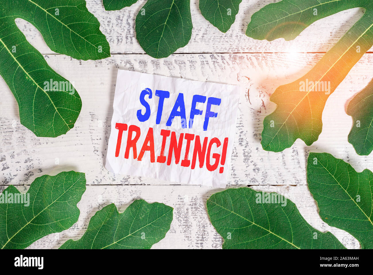 Text sign showing Staff Training. Business photo showcasing program ...