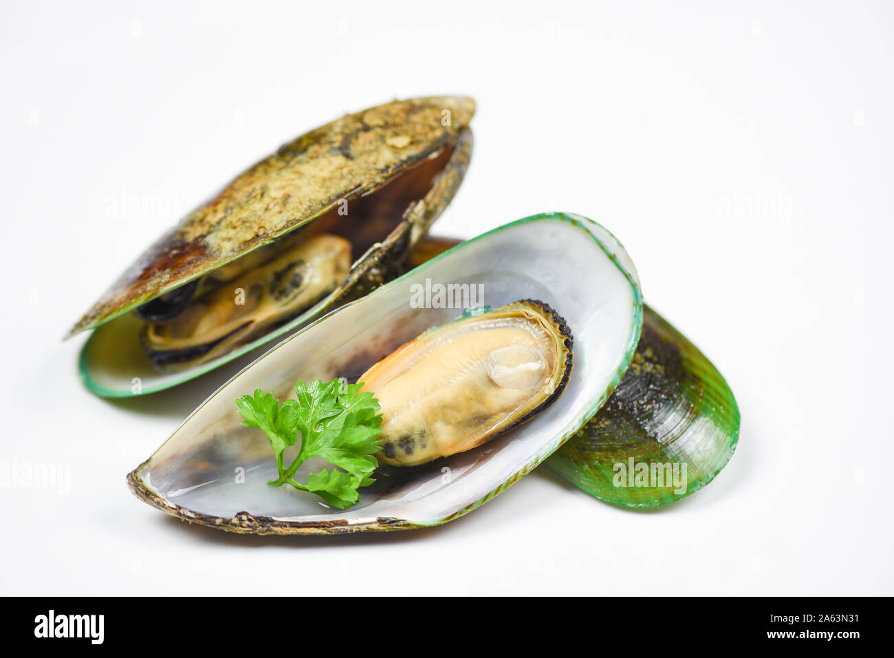 Mussels isolated on white background / Green mussel shell with parsley ...