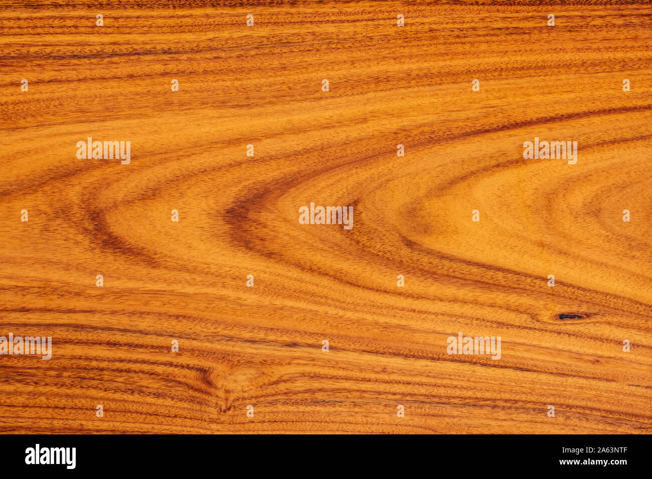 Close up of wood texture, made by painter for using work of decoration ...