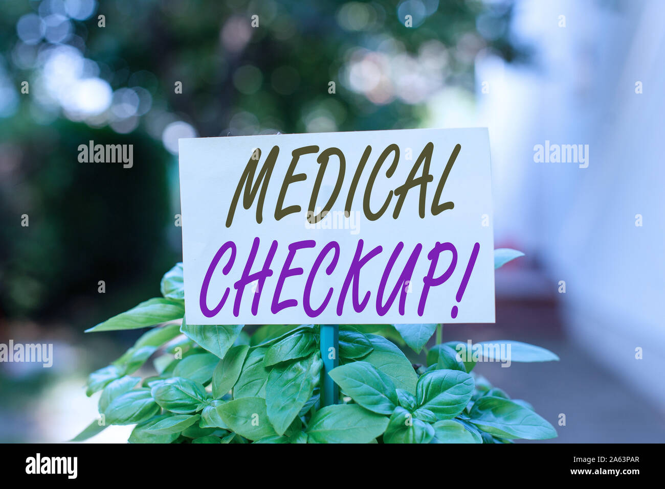 Handwriting text writing Medical Checkup. Conceptual photo thorough ...