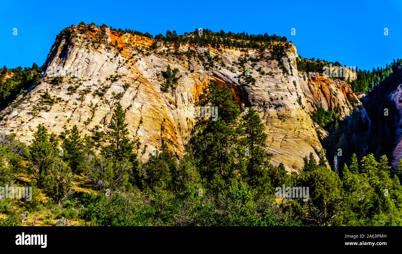 The white, yellow and orange colors of the sandstone Mountains and ...