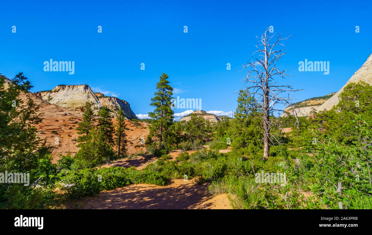 The white, yellow and orange colors of the sandstone Mountains and ...