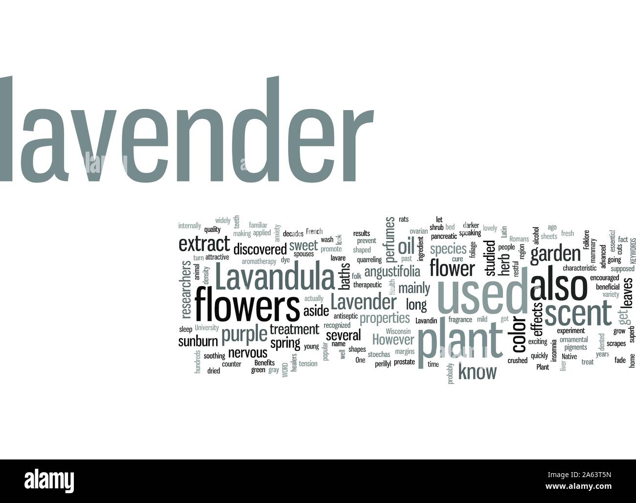 Familiar Flower Stock Vector Images - Alamy