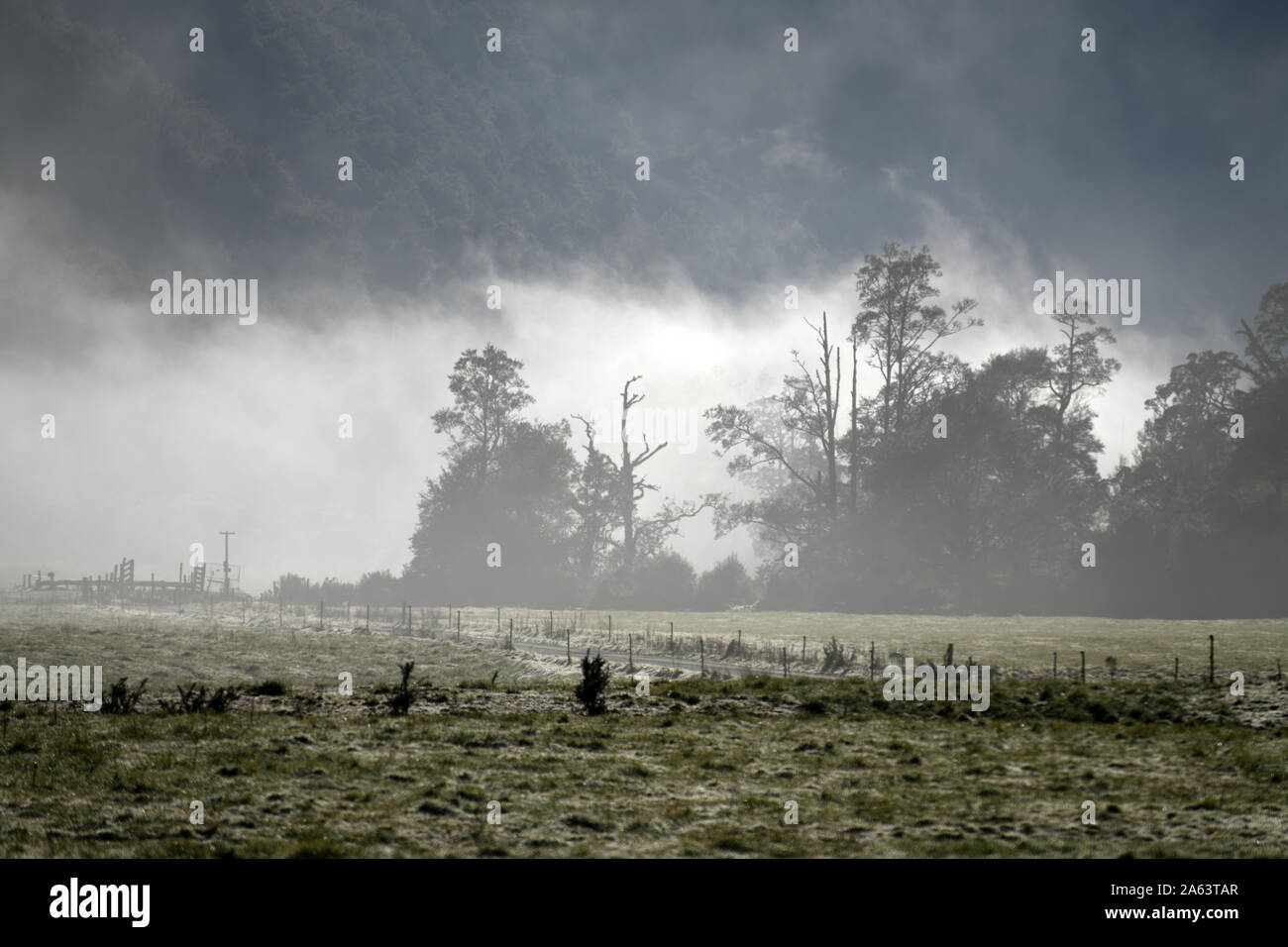 Misty farm hi-res stock photography and images - Alamy
