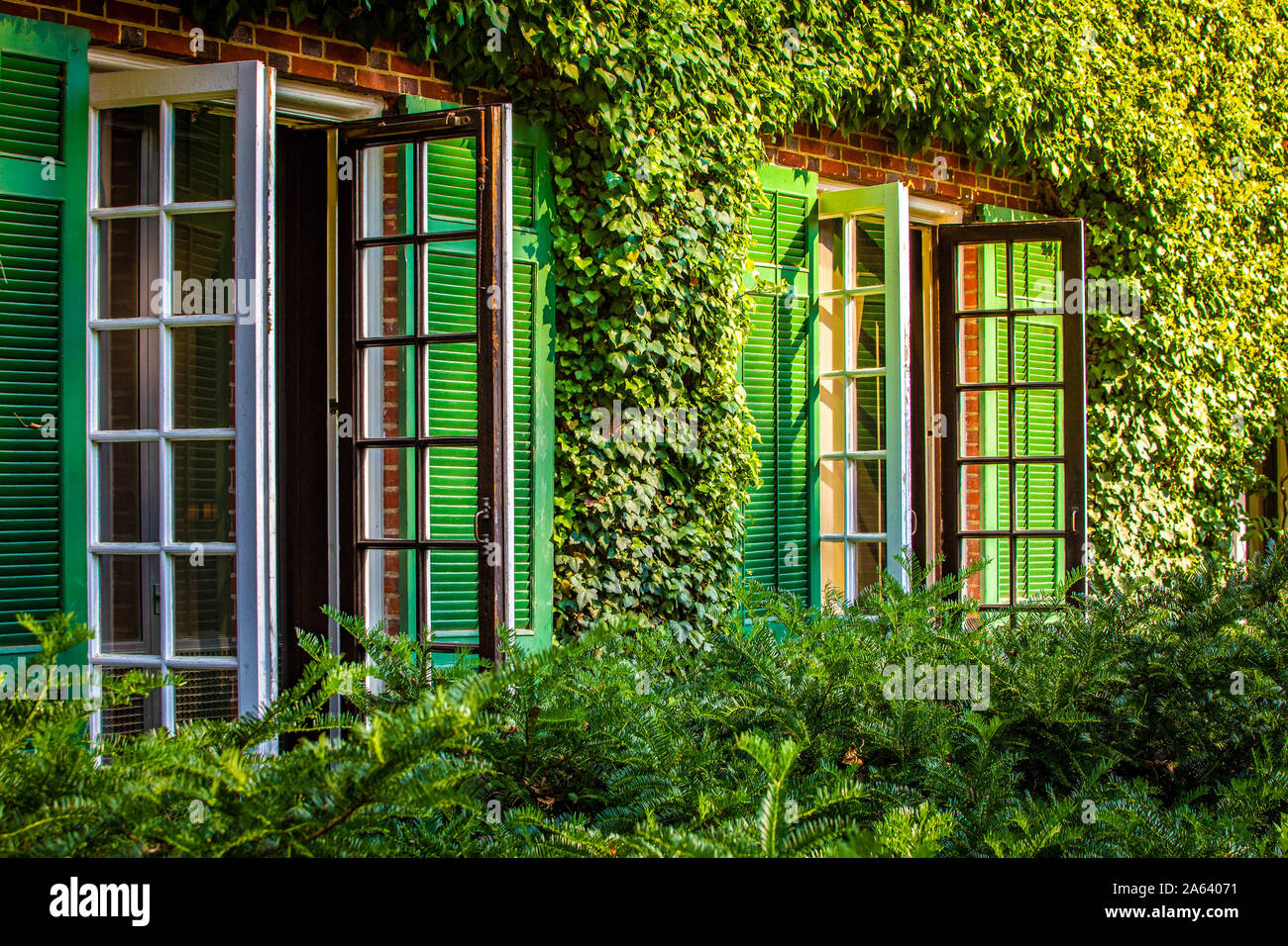 Ivy around window hi-res stock photography and images - Alamy
