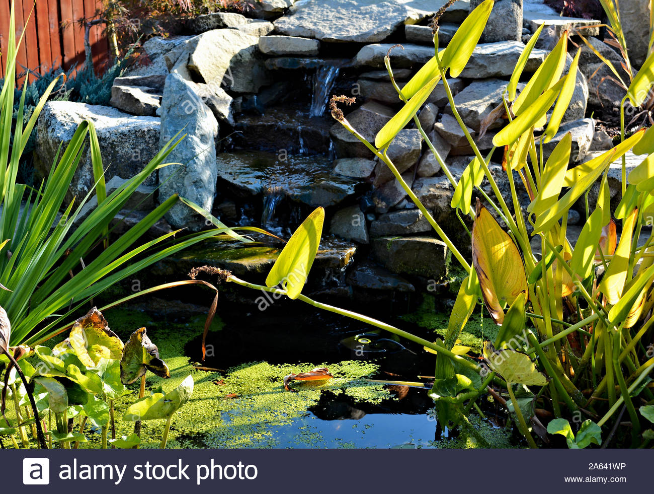 Garden Water Feature Green Stock Photos & Garden Water Feature Green ...