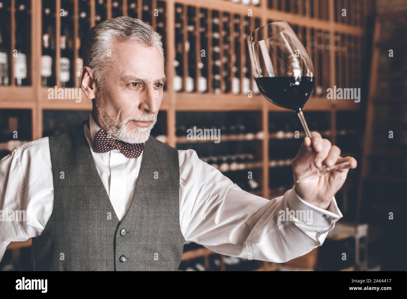 Professional male sommelier checking hi-res stock photography and ...