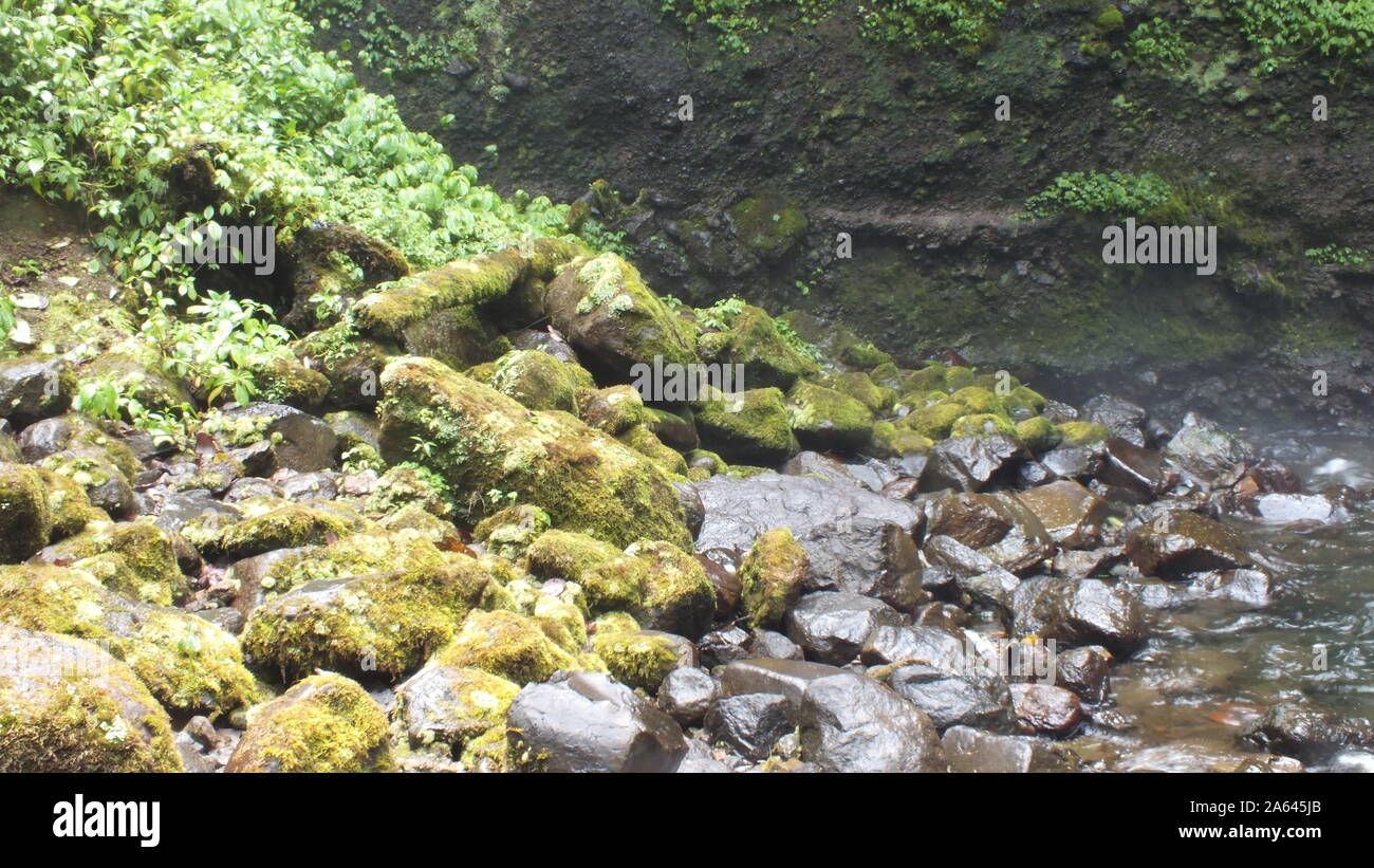 Spring forest river rocks hi-res stock photography and images - Alamy