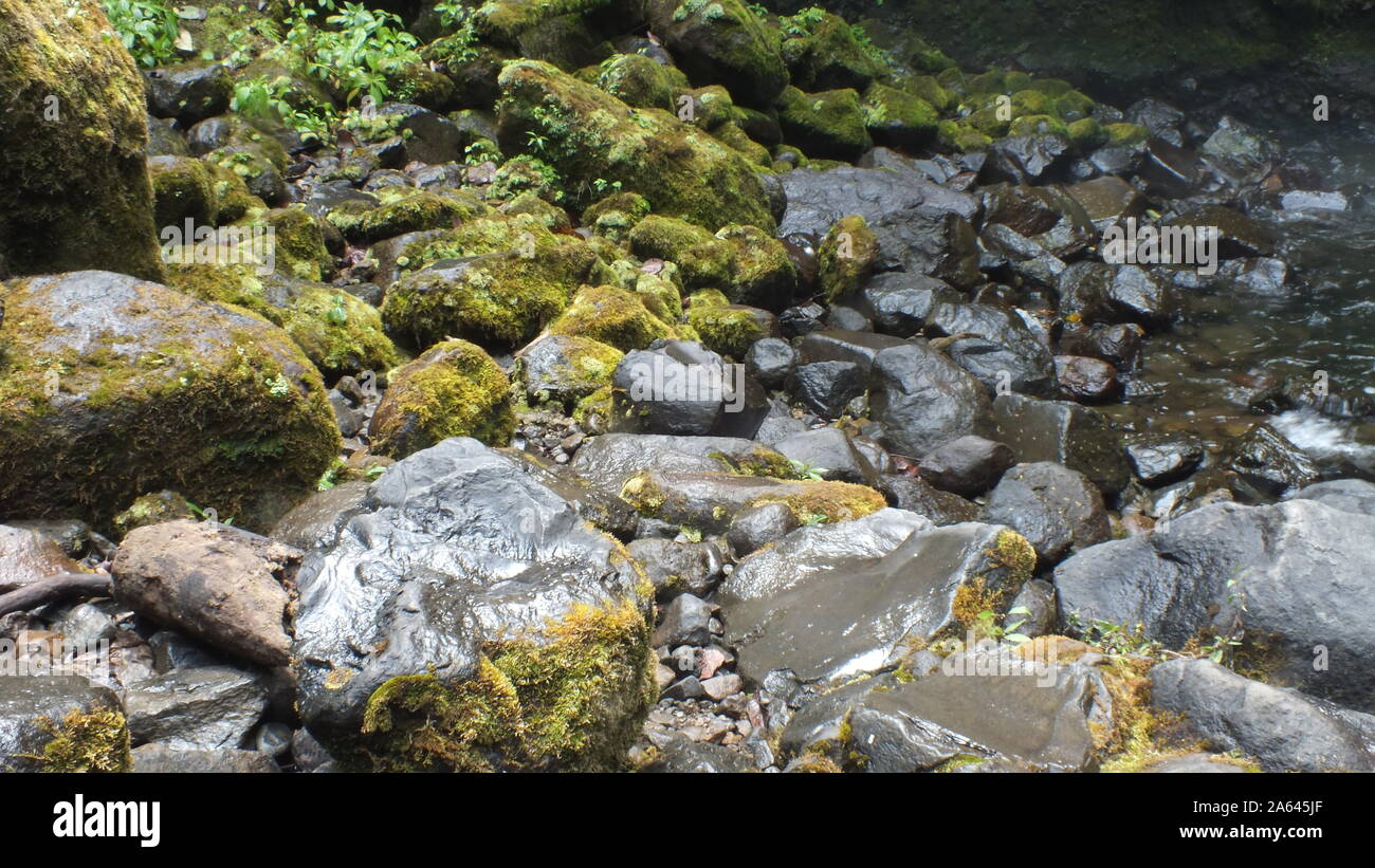 Spring forest river rocks hi-res stock photography and images - Alamy