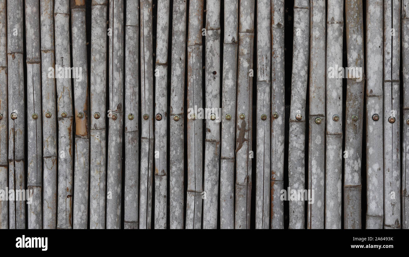 Dried bamboo hi-res stock photography and images - Alamy