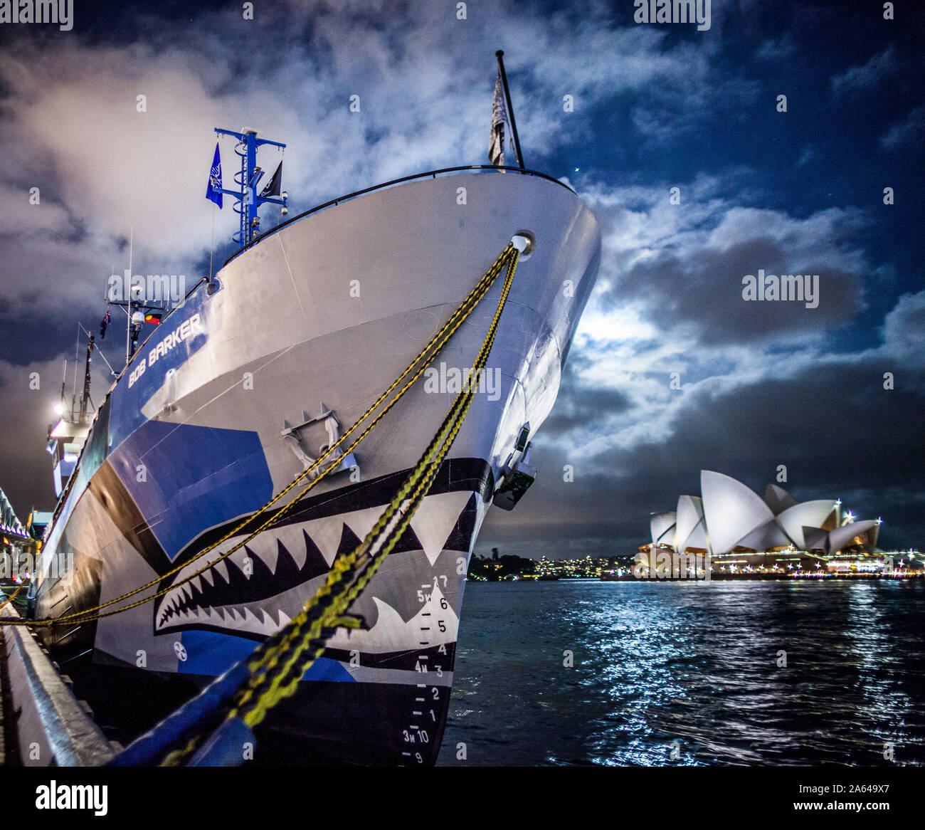 Blue Whale Wars Ship