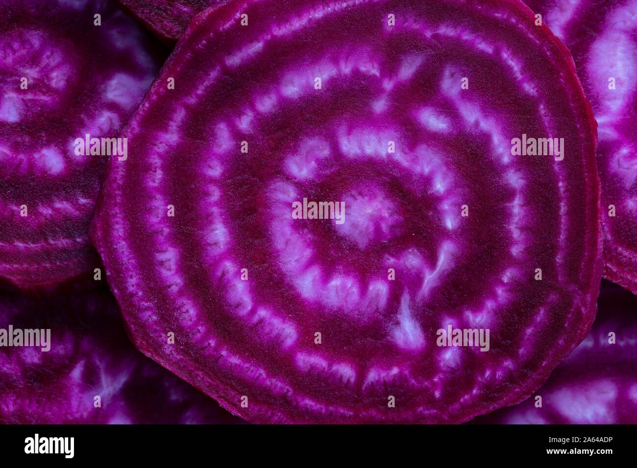 Red beetroot slice close up. Purple beet cut in half with the texture ...