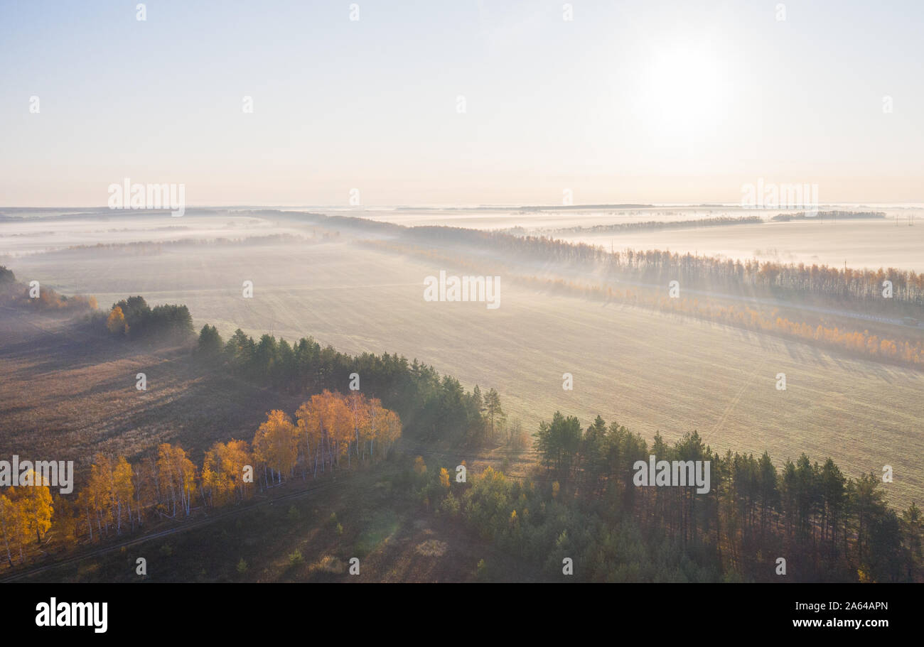 Aerial view over forest plantations hi-res stock photography and images ...