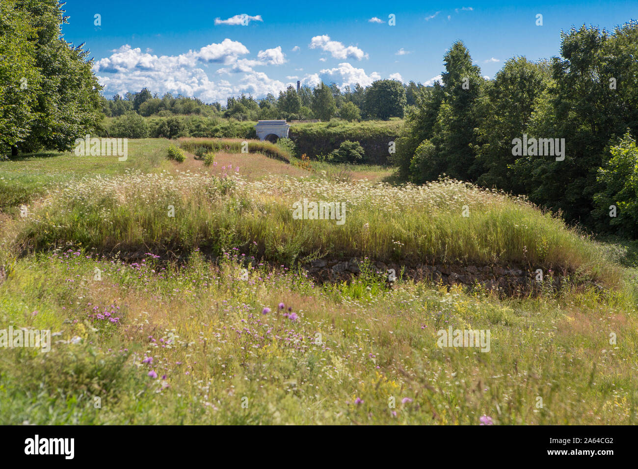 Vyborg lake forest hi-res stock photography and images - Alamy