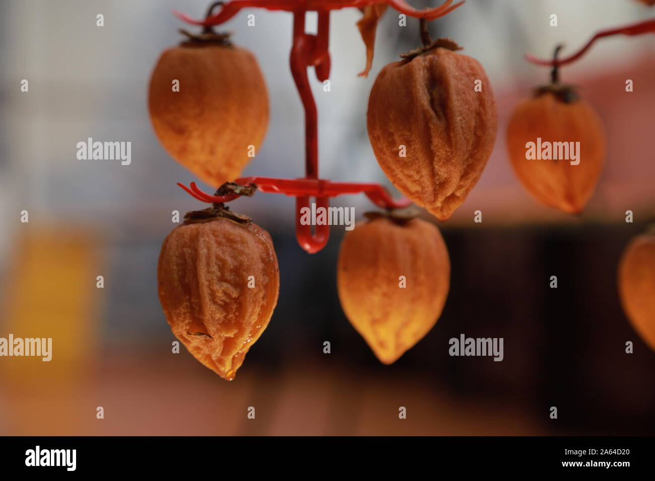 Early wind technology hi-res stock photography and images - Alamy