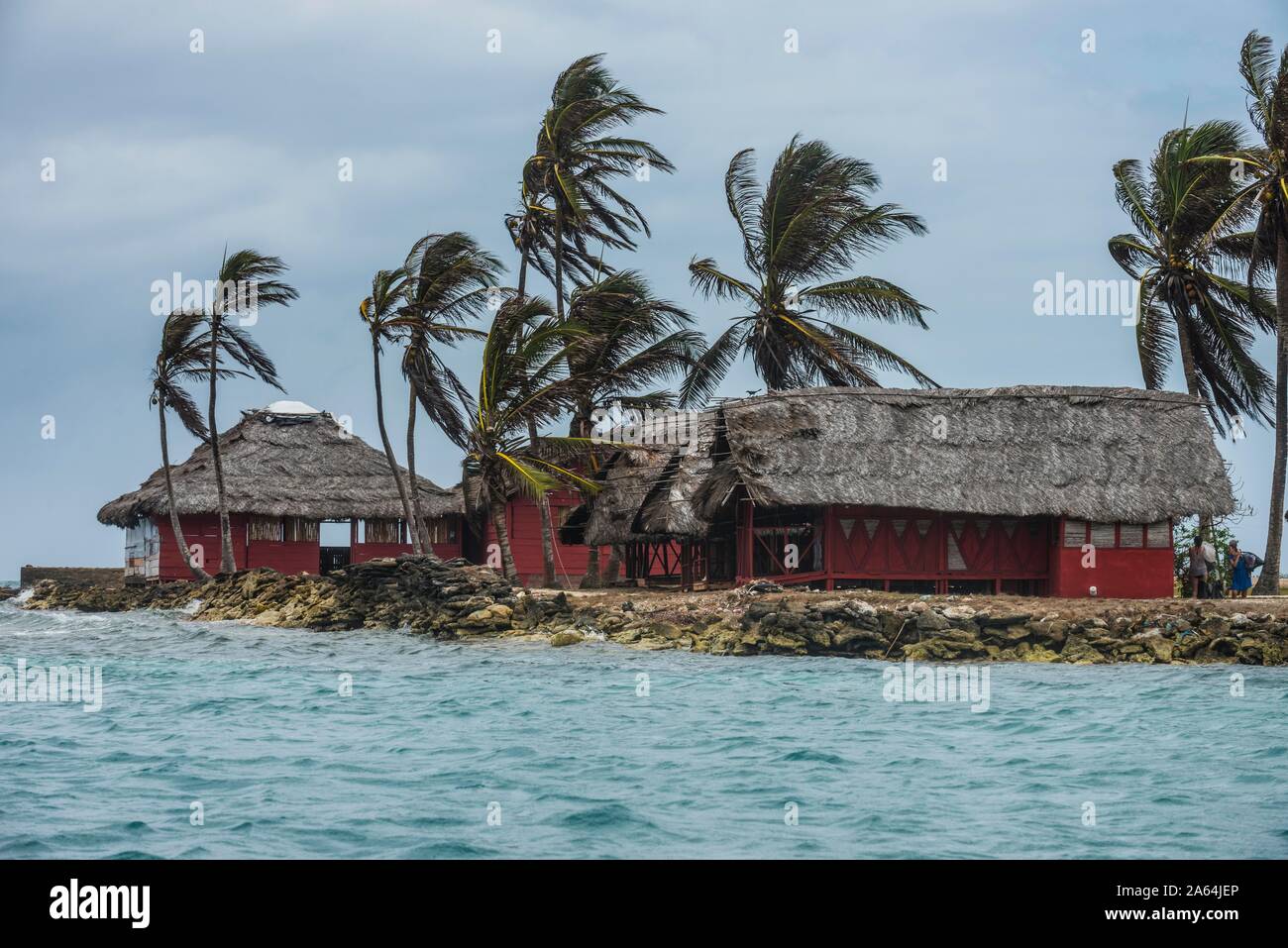 Traditional huts under palm trees, Achutupu, San Blas islands, Kuna ...