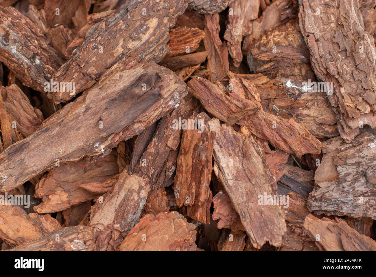 Tree bark natural background wallpaper backdrop. Brown natural pieces ...