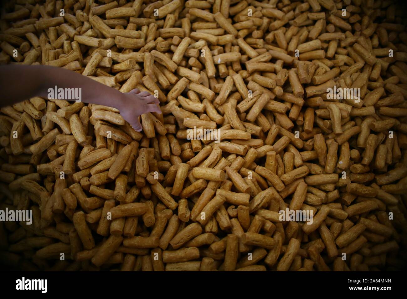 Kathmandu, Nepal. 23rd Oct, 2019. Lakhamari, a traditional sweet, is ...