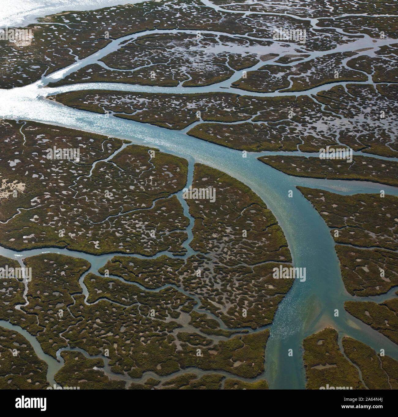 Odiel marshes Biosphere Reserve. Huelva province, Andalucia, Spain ...