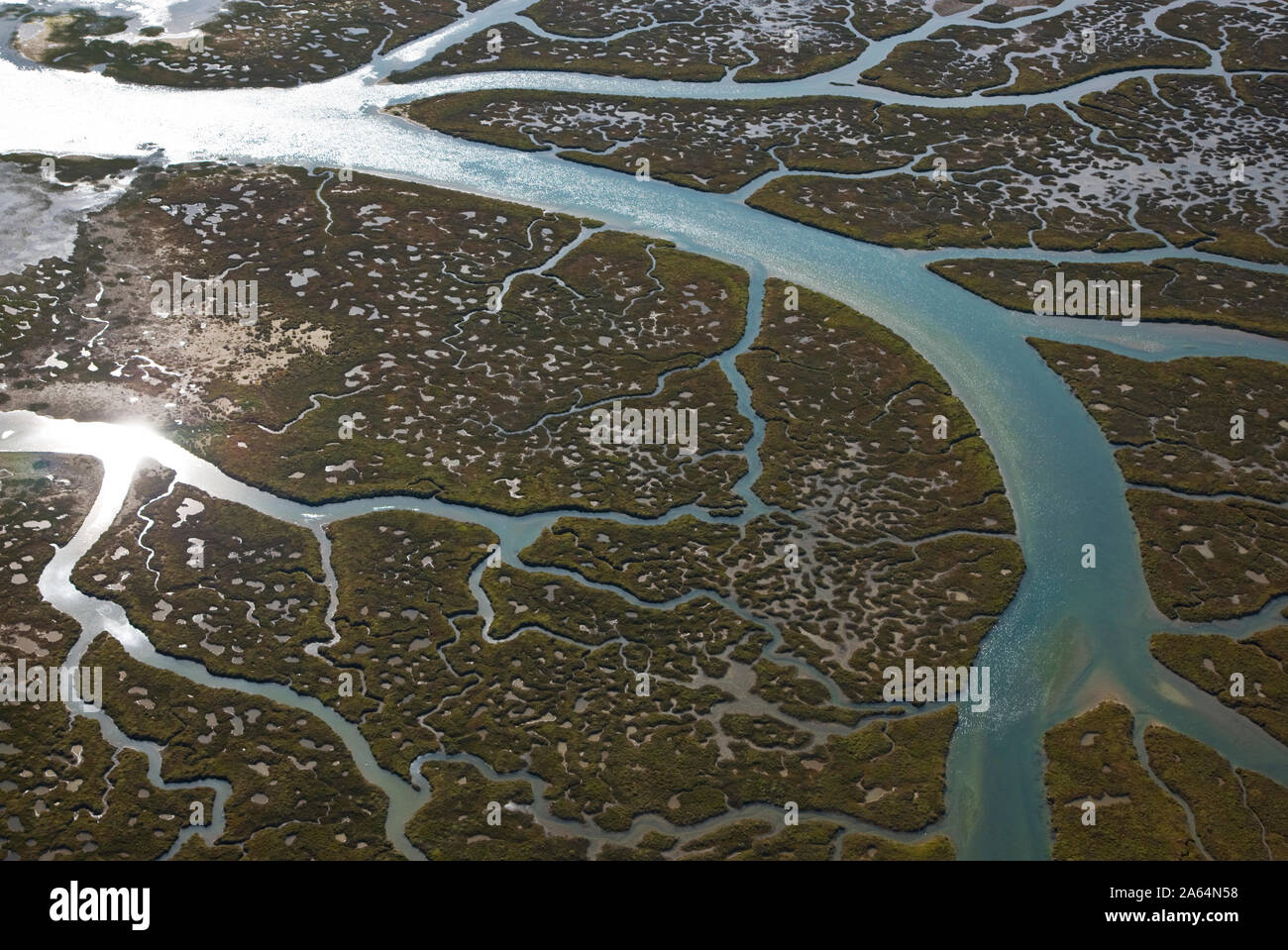 Odiel marshes Biosphere Reserve. Huelva province, Andalucia, Spain ...