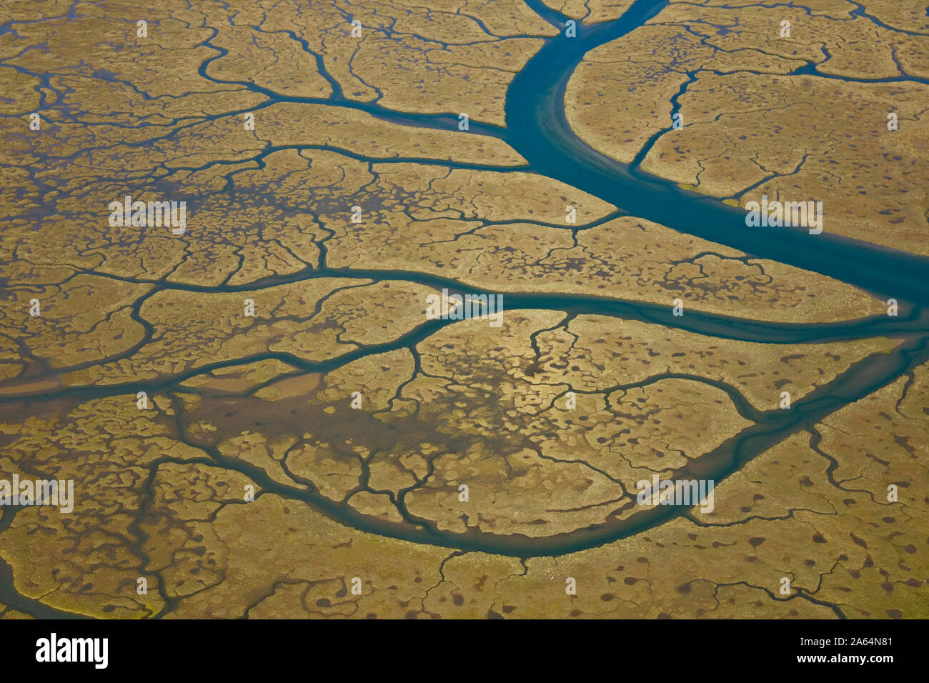 Odiel marshes Biosphere Reserve. Huelva province, Andalucia, Spain ...