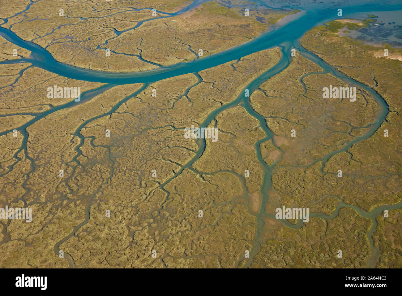 Odiel marshes Biosphere Reserve. Huelva province, Andalucia, Spain ...