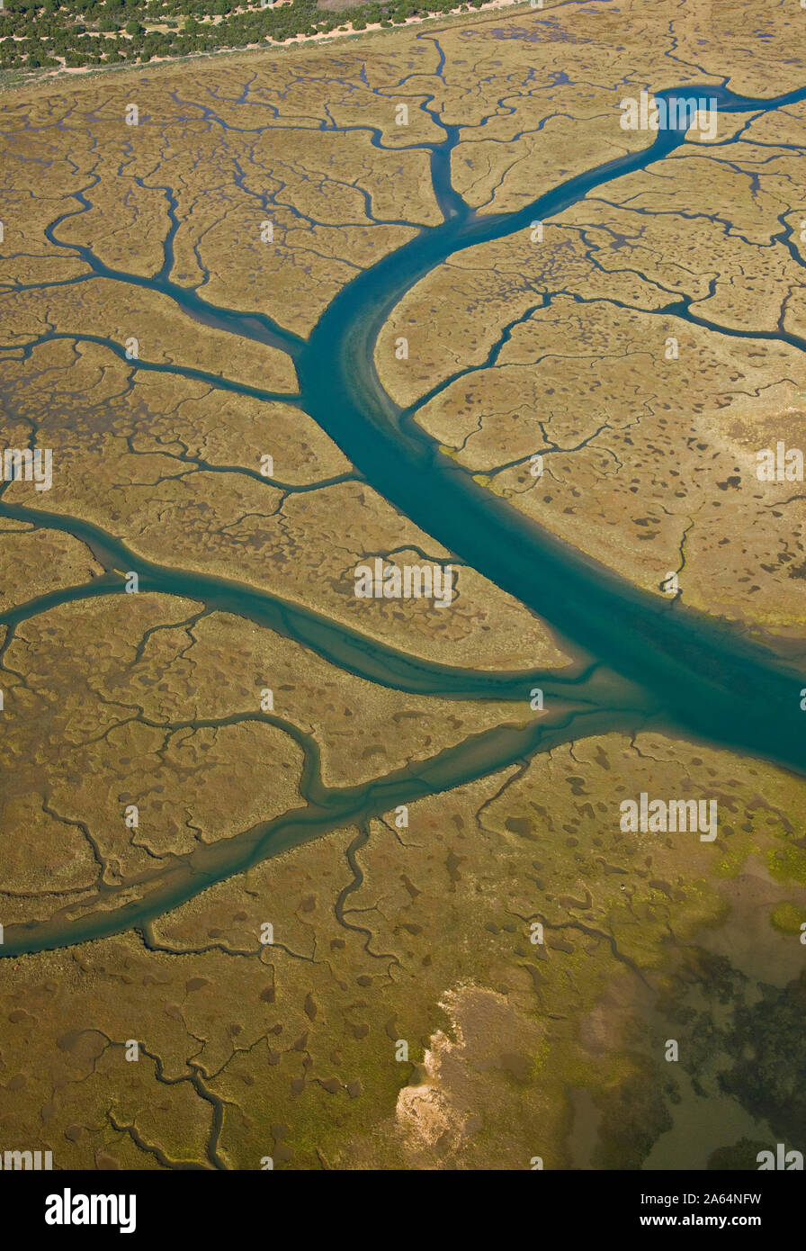 Odiel marshes huelva hi-res stock photography and images - Alamy