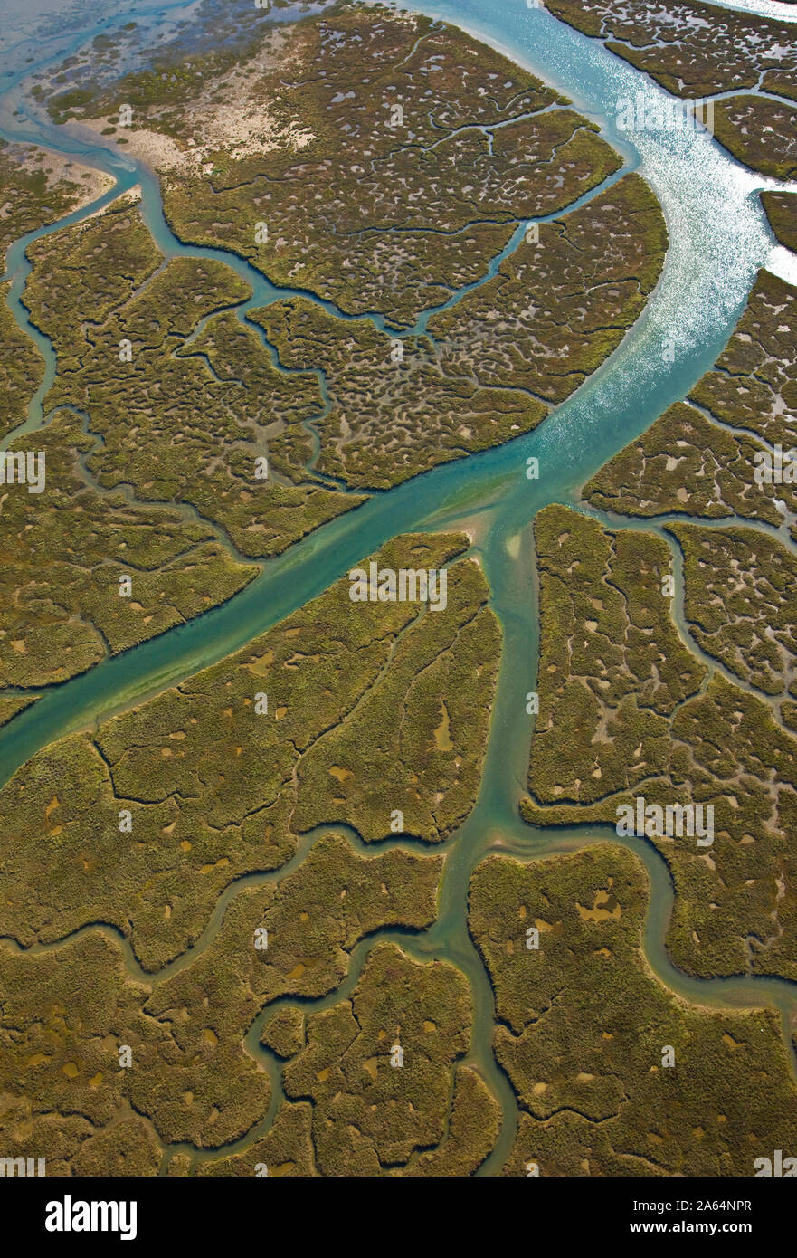 Odiel marshes Biosphere Reserve. Huelva province, Andalucia, Spain ...
