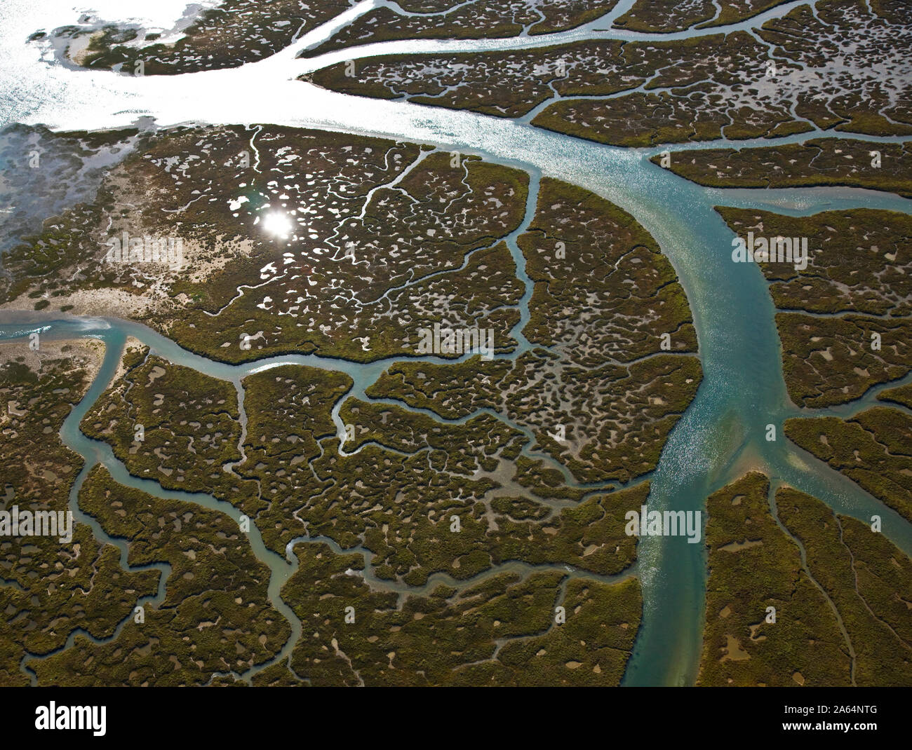 Odiel marshes Biosphere Reserve. Huelva province, Andalucia, Spain ...