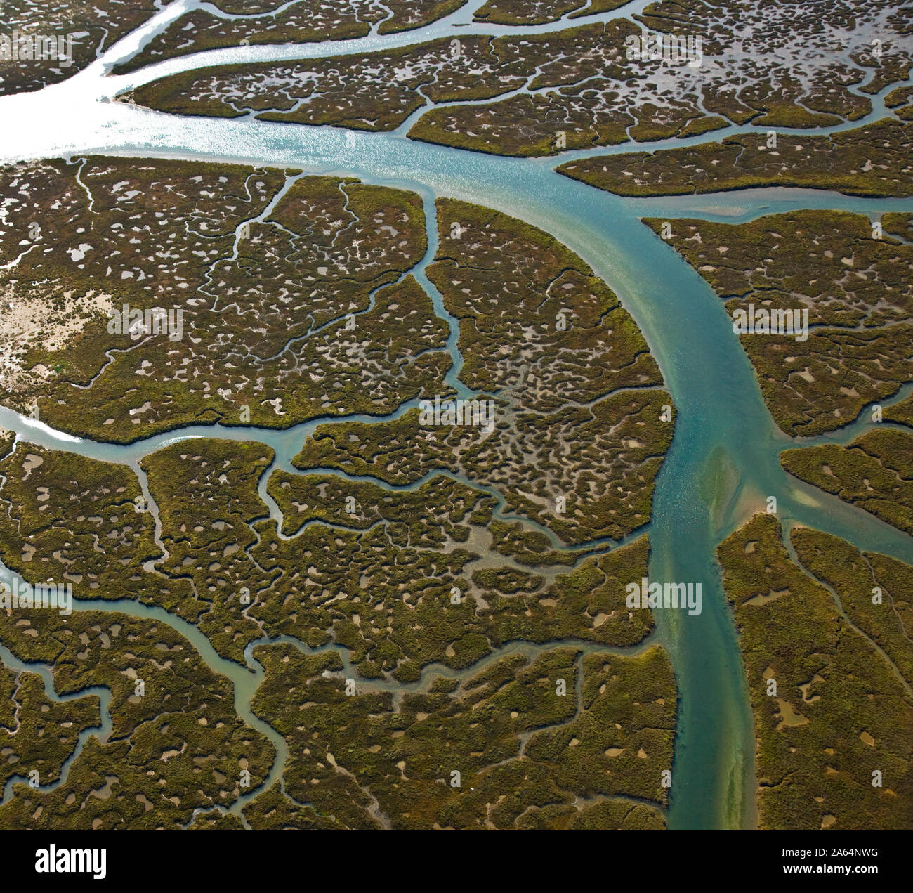 Odiel marshes Biosphere Reserve. Huelva province, Andalucia, Spain ...