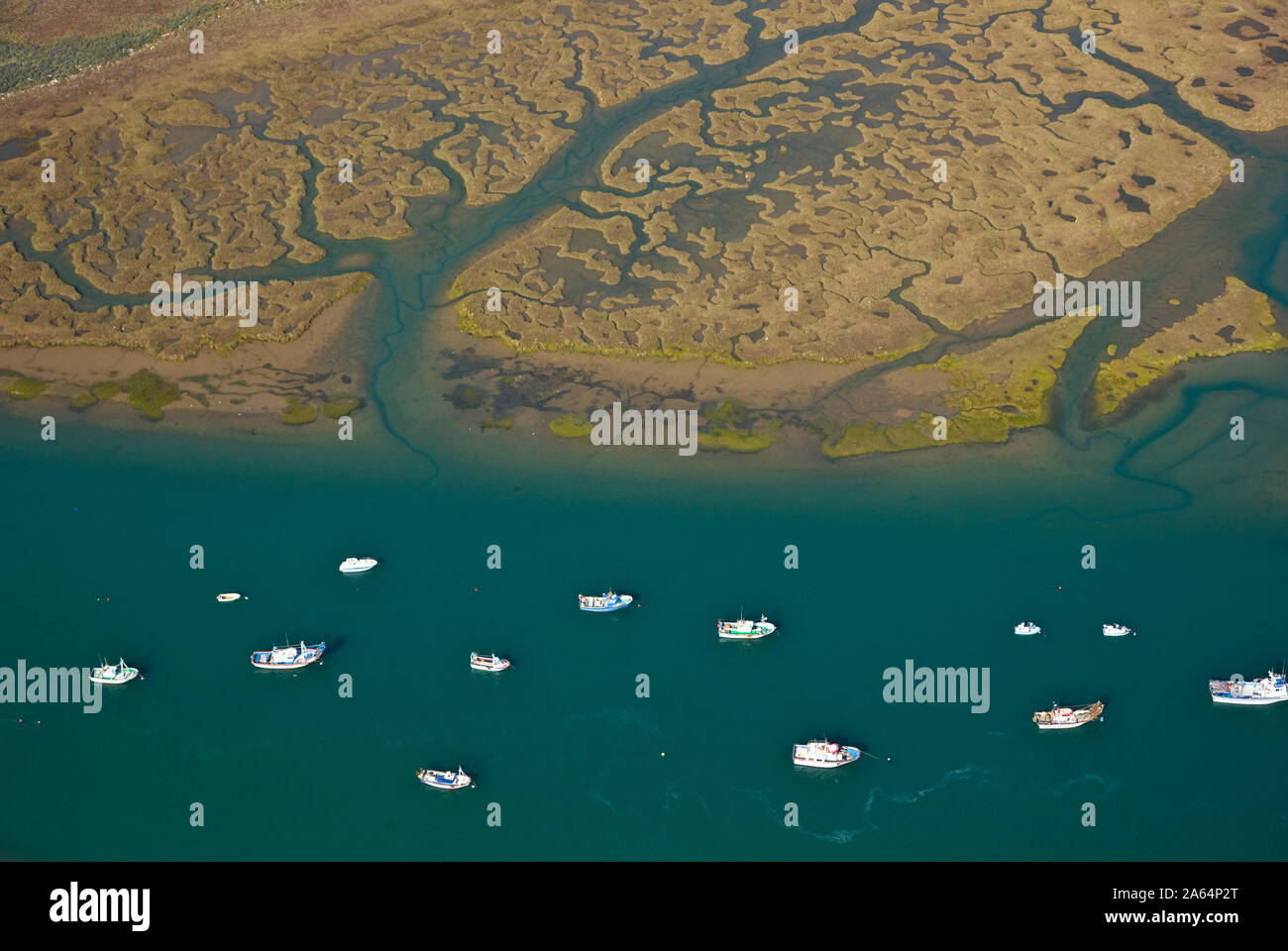 Odiel marshes Biosphere Reserve. Huelva province, Andalucia, Spain ...