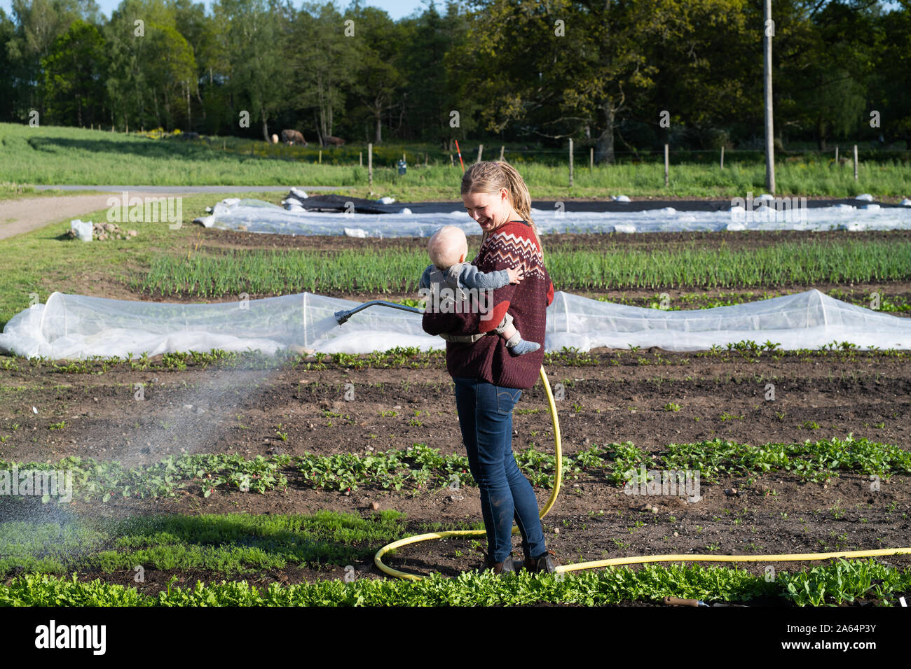 Crop tending hi-res stock photography and images - Alamy
