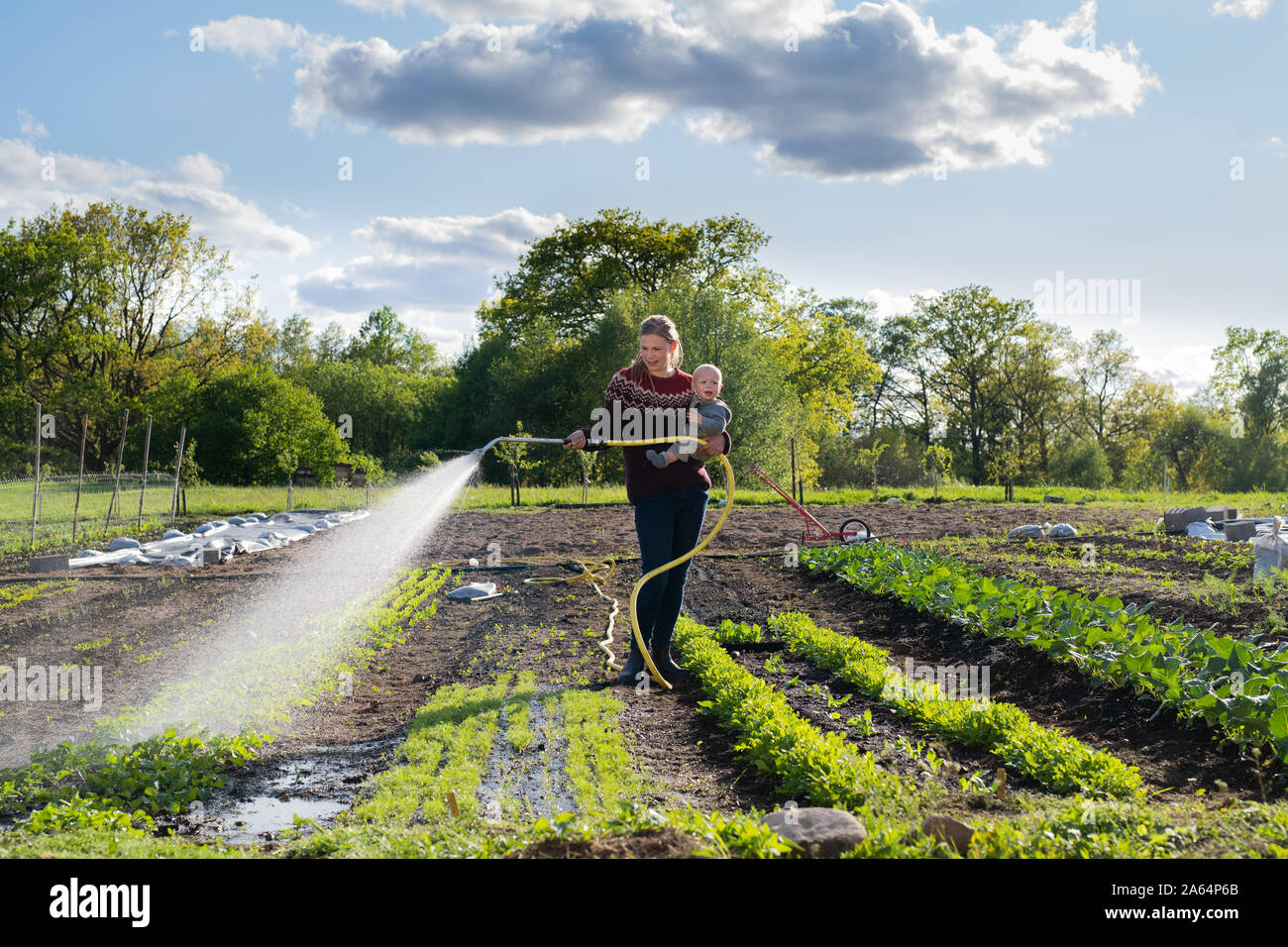 Tending to crop hi-res stock photography and images - Alamy