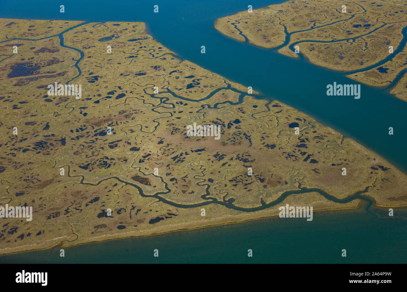 Odiel marshes Biosphere Reserve. Huelva province, Andalucia, Spain ...