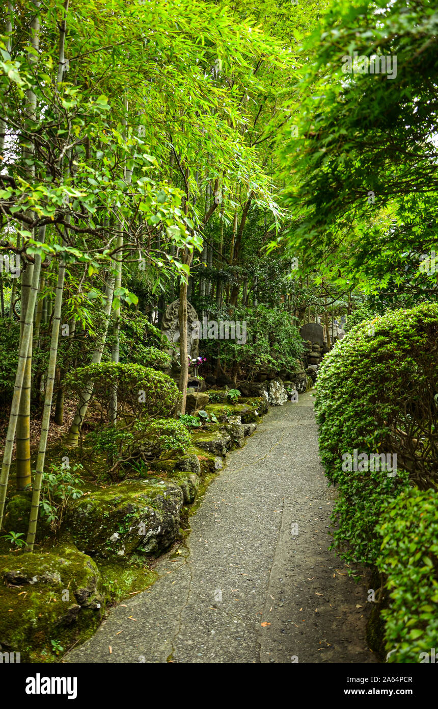 Narrow garden path hi-res stock photography and images - Alamy