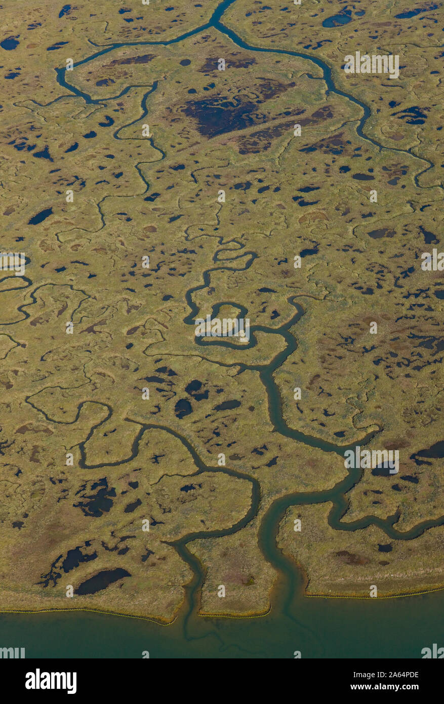 Odiel marshes Biosphere Reserve. Huelva province, Andalucia, Spain ...