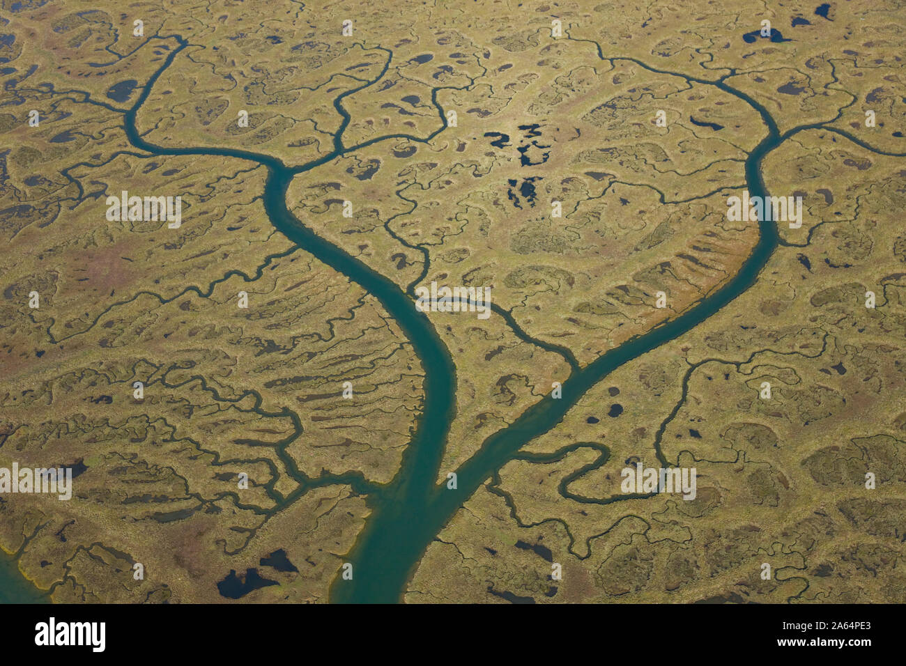 Odiel marshes Biosphere Reserve. Huelva province, Andalucia, Spain ...