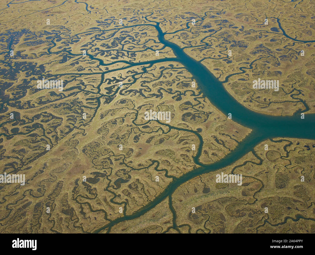 Odiel marshes Biosphere Reserve. Huelva province, Andalucia, Spain ...