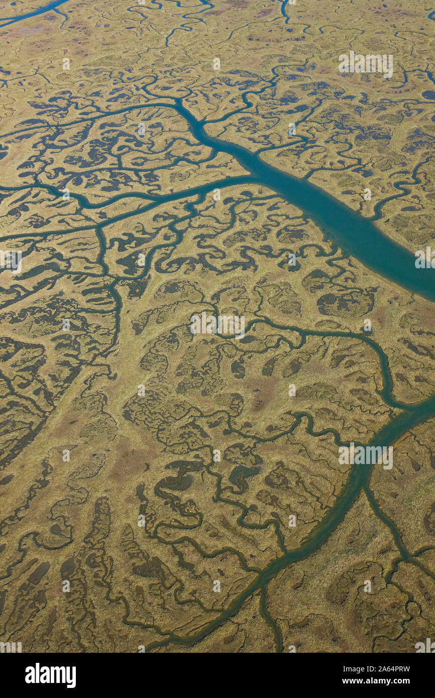 Odiel marshes Biosphere Reserve. Huelva province, Andalucia, Spain ...