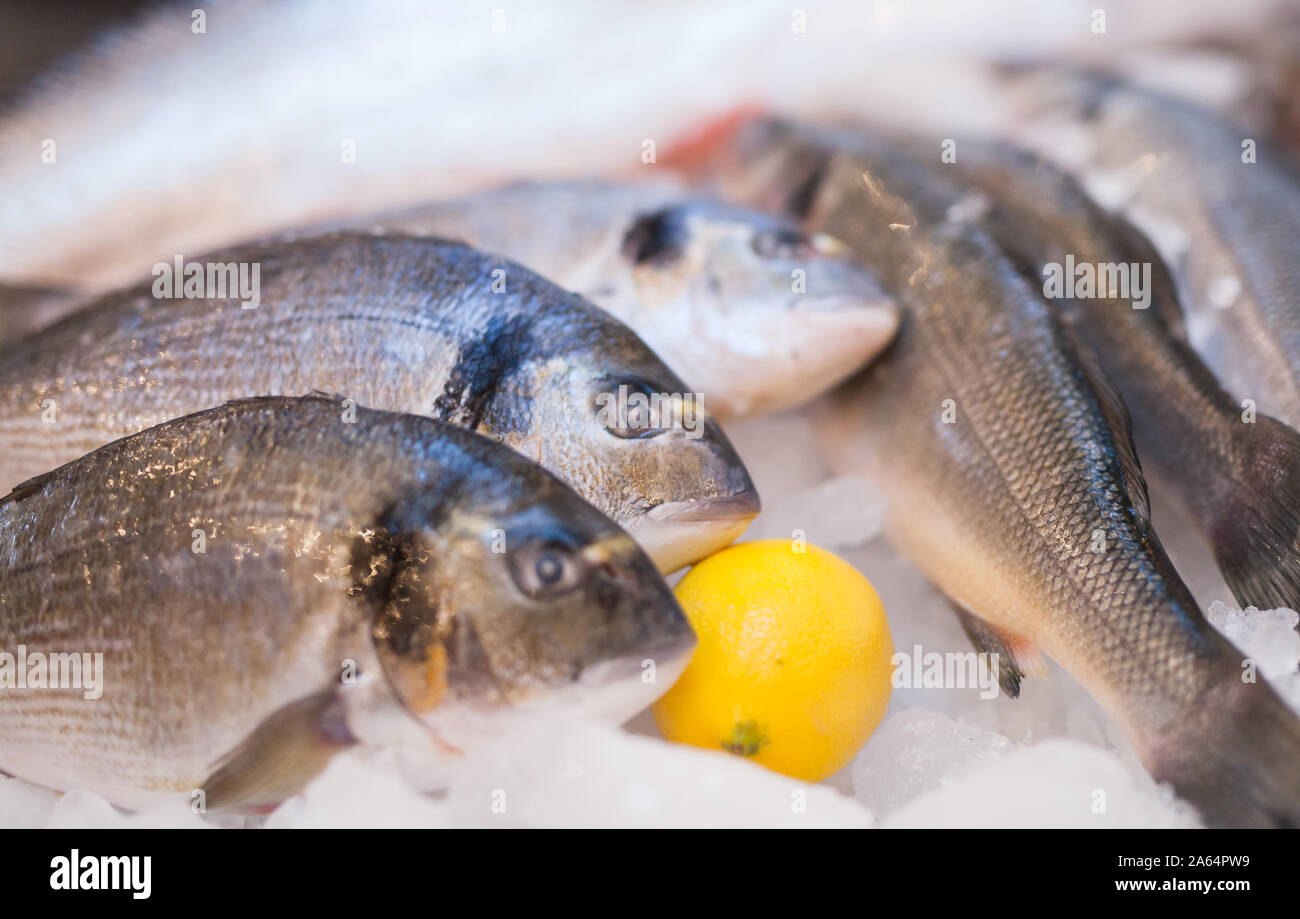 fresh fish and oysters in the restaurant Stock Photo - Alamy