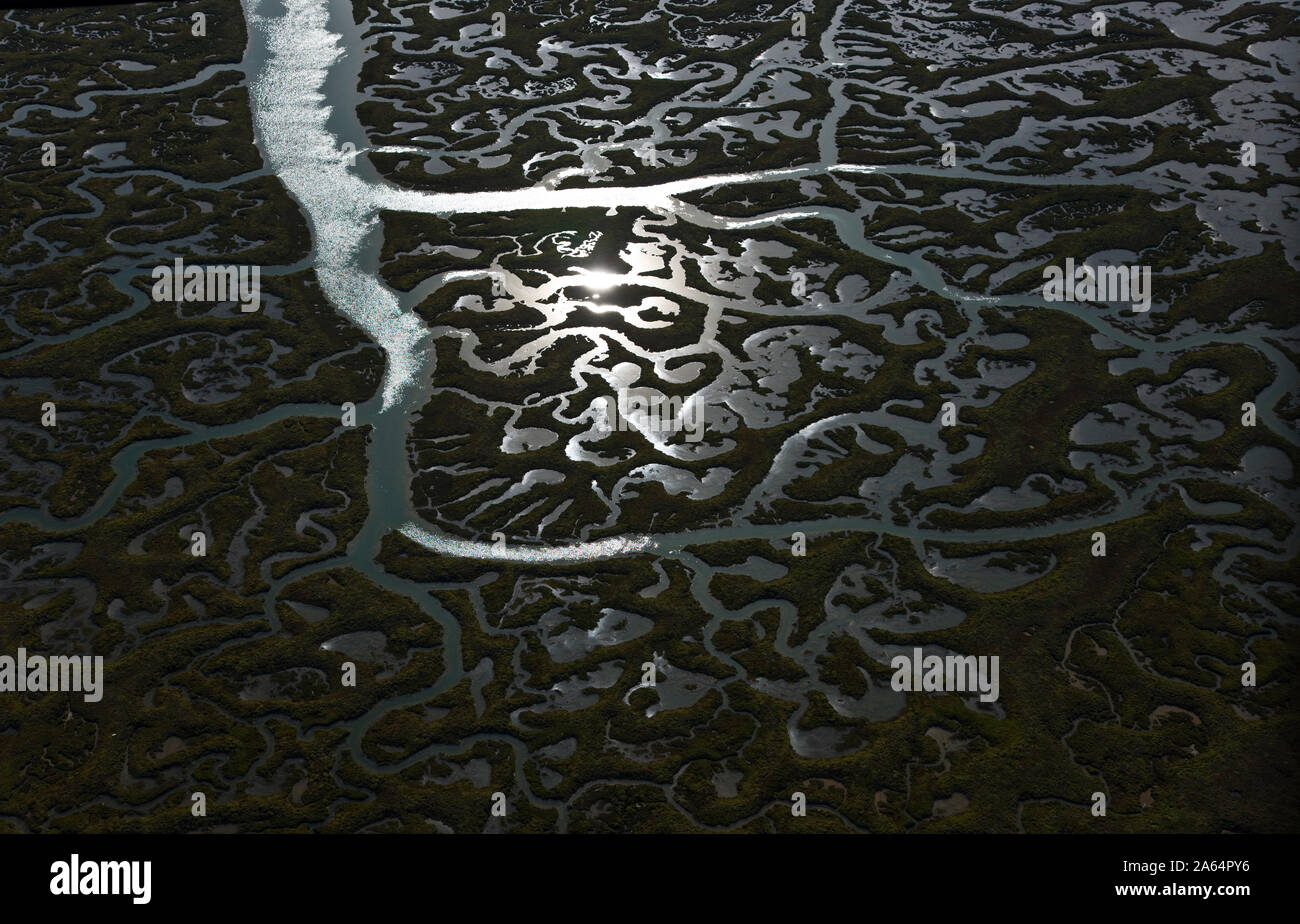 Odiel marshes Biosphere Reserve. Huelva province, Andalucia, Spain ...