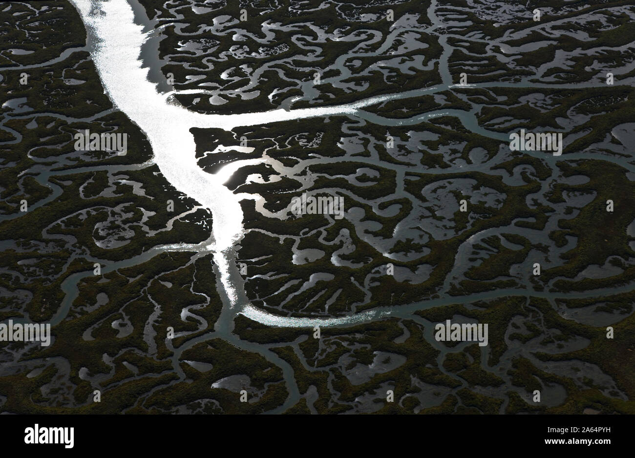 Odiel marshes Biosphere Reserve. Huelva province, Andalucia, Spain ...