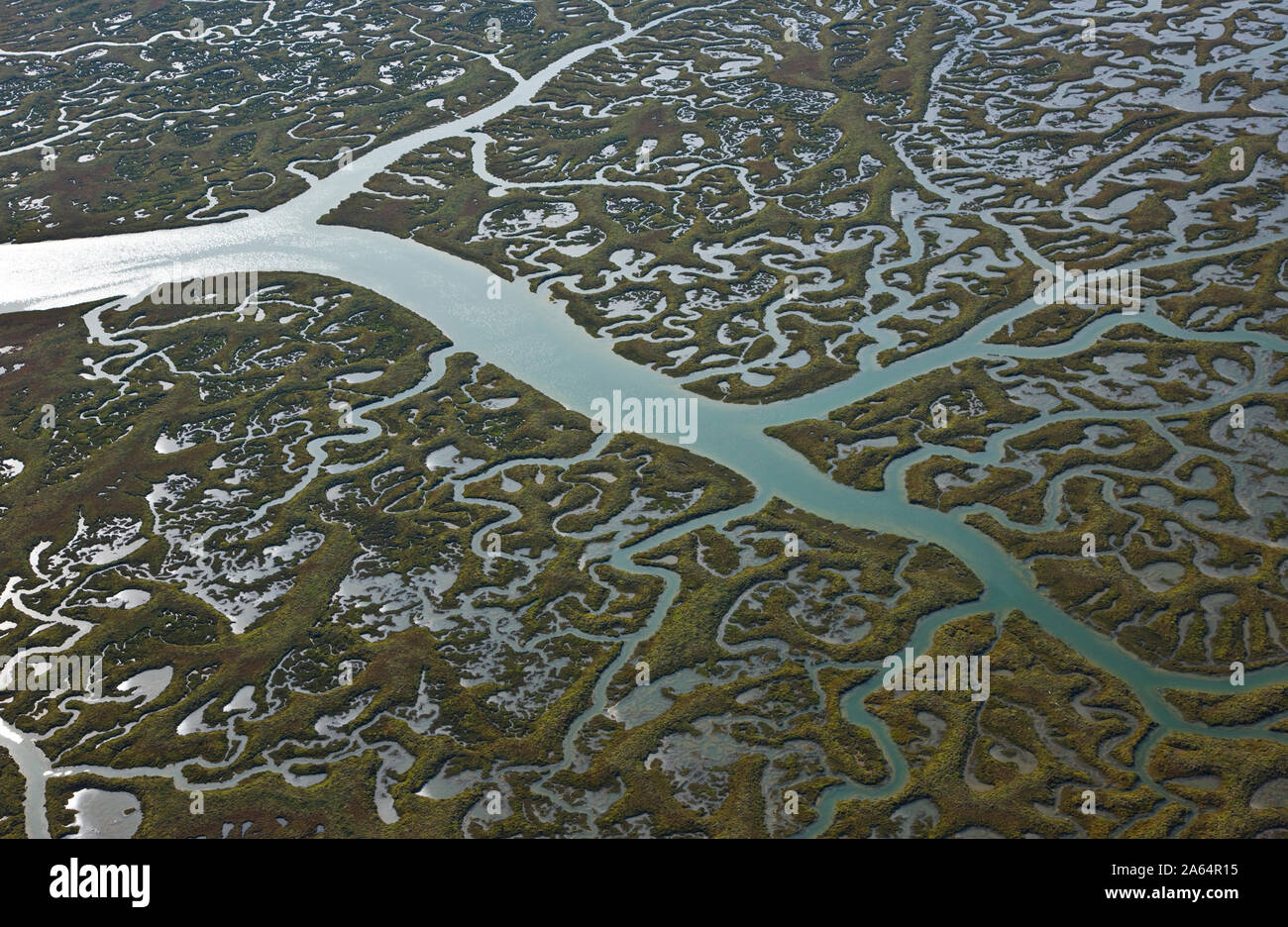 Odiel marshes Biosphere Reserve. Huelva province, Andalucia, Spain ...