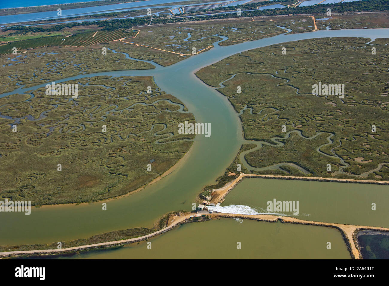 Odiel marshes Biosphere Reserve. Huelva province, Andalucia, Spain ...